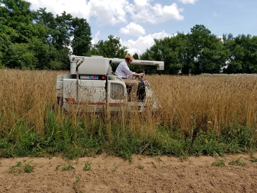 From Wheatfield to Pesach Table: STAR-K Kosher Certification Takes You ...